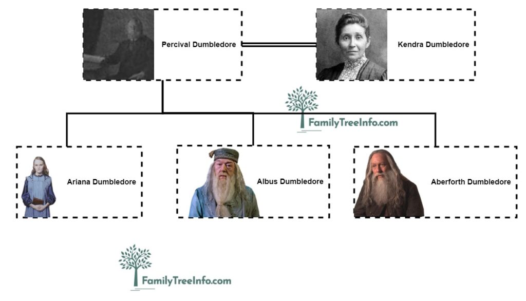 Dumbledore Family Tree, Members, Friends Harry Potter